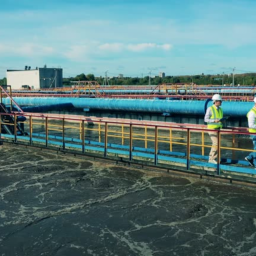 Complete Guide to Sewage Treatment Plants (STPs) and SUSBIO ECOTREAT
